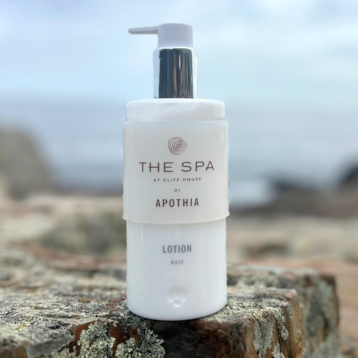 Seagrass + Citrus - Signature Body Lotion – Cliff House Home