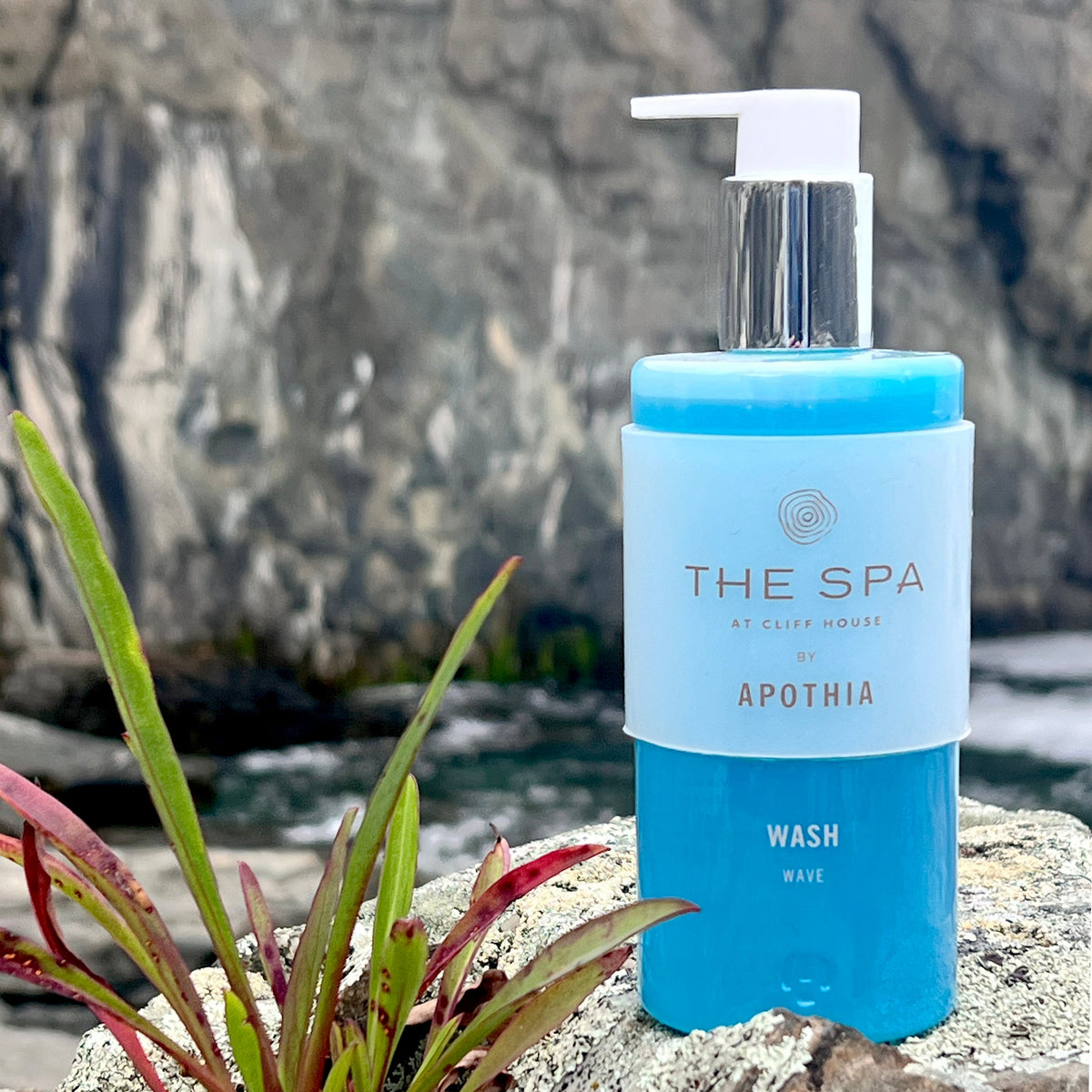 Seagrass + Citrus - Signature Body Wash – Cliff House Home